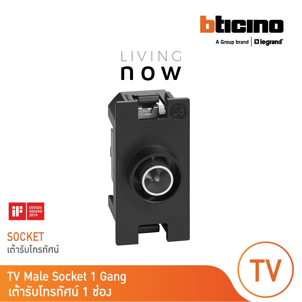 BTicino TV Male Socket 1 Gang เต้ารับโทรทัศน์ 1 ช่อง | Living Now รหัส ...