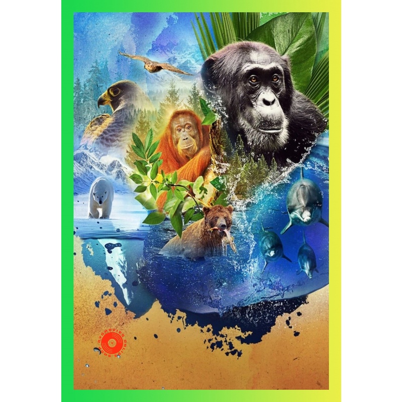 NEW DVD Animal Season 2 (2022) สัตว์มหัศจรรย์ 2 (4 ตอน) (เสียง ไทย ...