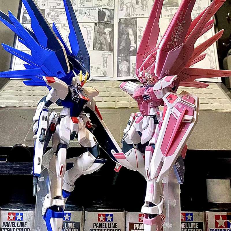 Hg/144 Freedom Gundam ZGMF-X10A Sakura Pink Freedom กันดั้ม + สติกเกอร์ ... Hg/144 Freedom Gundam ZGMF-X10A Sakura Pink Freedom กันดั้ม + สติกเกอร์ ...