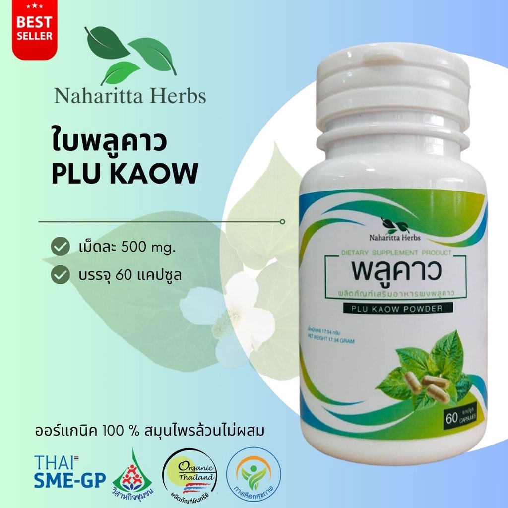 ใบพลูคาว PLU KAOW 100% 60cap. ส่งไว คุณภาพดี | Shopee Thailand