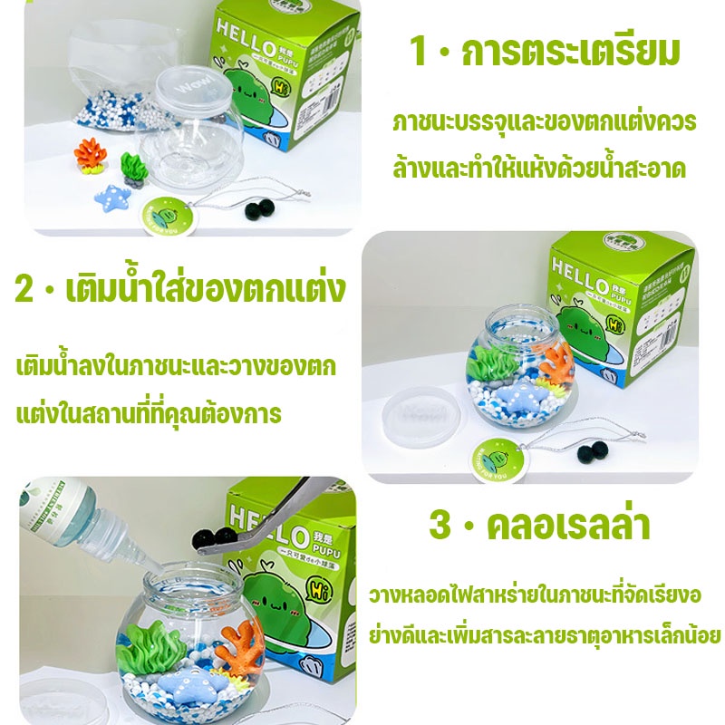 ☘️COD☘️ Marimo ชุดพร้อมเลี้ยงมาริโมะ เหมาะสำหรับให้เป็นของขวัญสำหรับคนที่รัก มาริโมะ มอสบอล ...