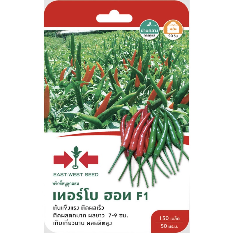 พริกขี้หนู เทอร์โบฮอท SD/F1-061 ผักซองศรแดงF1 พริก East-West Seed เมล็ด ...