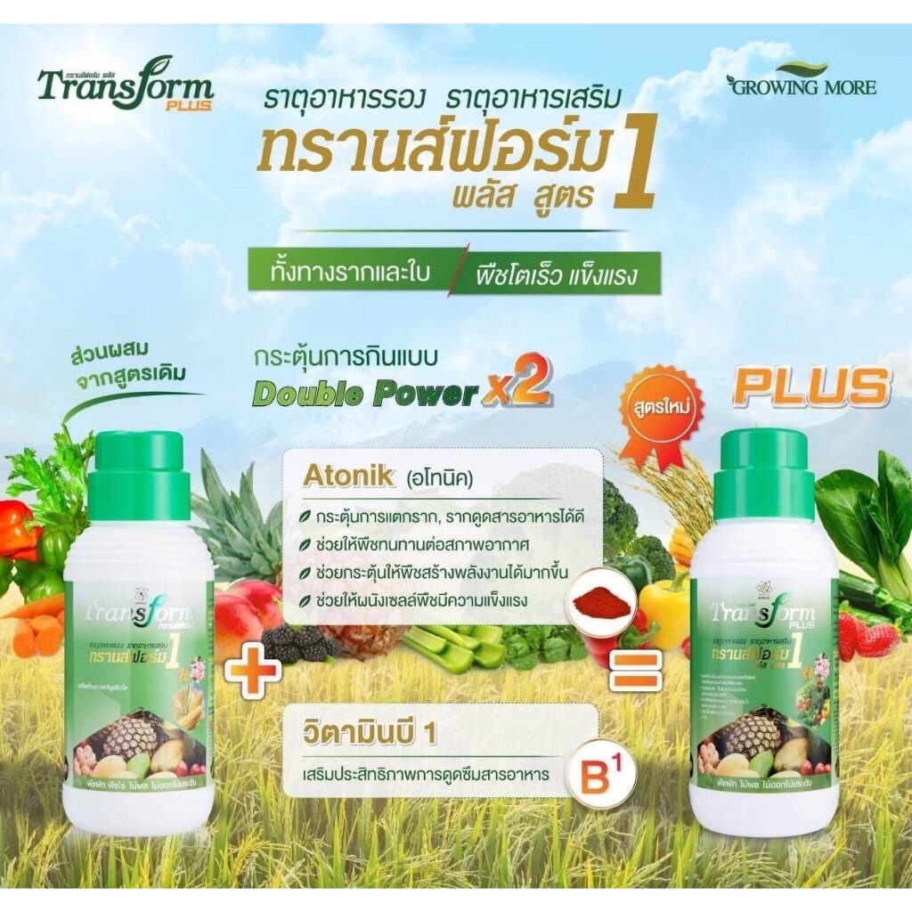 SCM / TRANSFORM PLUS 1 ต้นทุนลด ผลผลิตดี ธาตุรองเสริมทางใบ เน้นแตกยอด แตกราก ใบเขียว ลำต้น ...