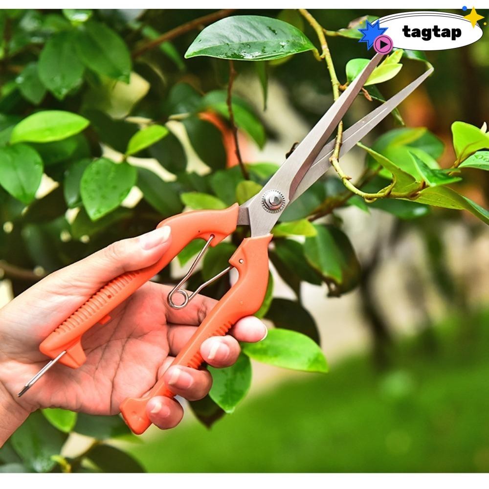 Tagtap กรรไกรตัดแต่งกิ่งสวน, เครื่องมือมือสแตนเลส, แพทช์ผัก, เครื่องมือ ...