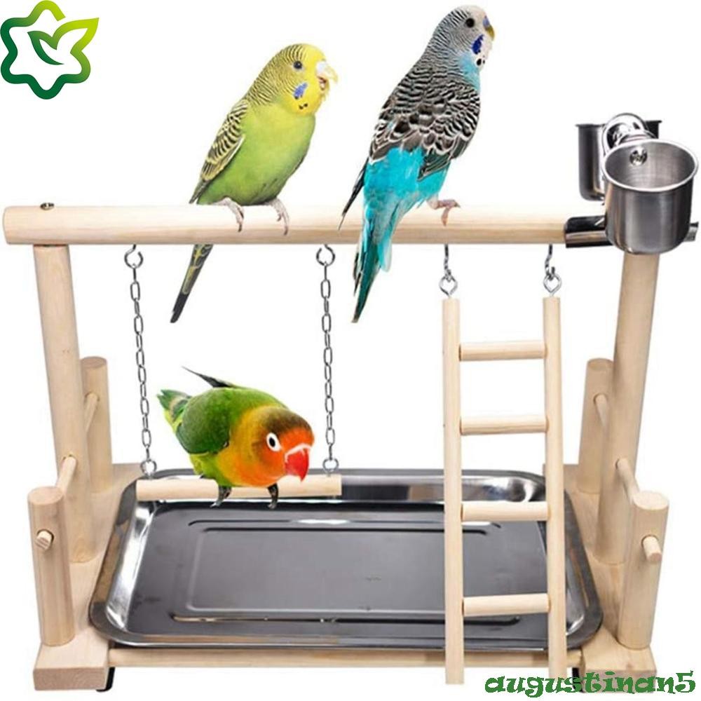Augustinan นกแก้ว Playstand Conure Lovebirds กิจกรรมพร้อมถ้วยป้อนสนาม ...