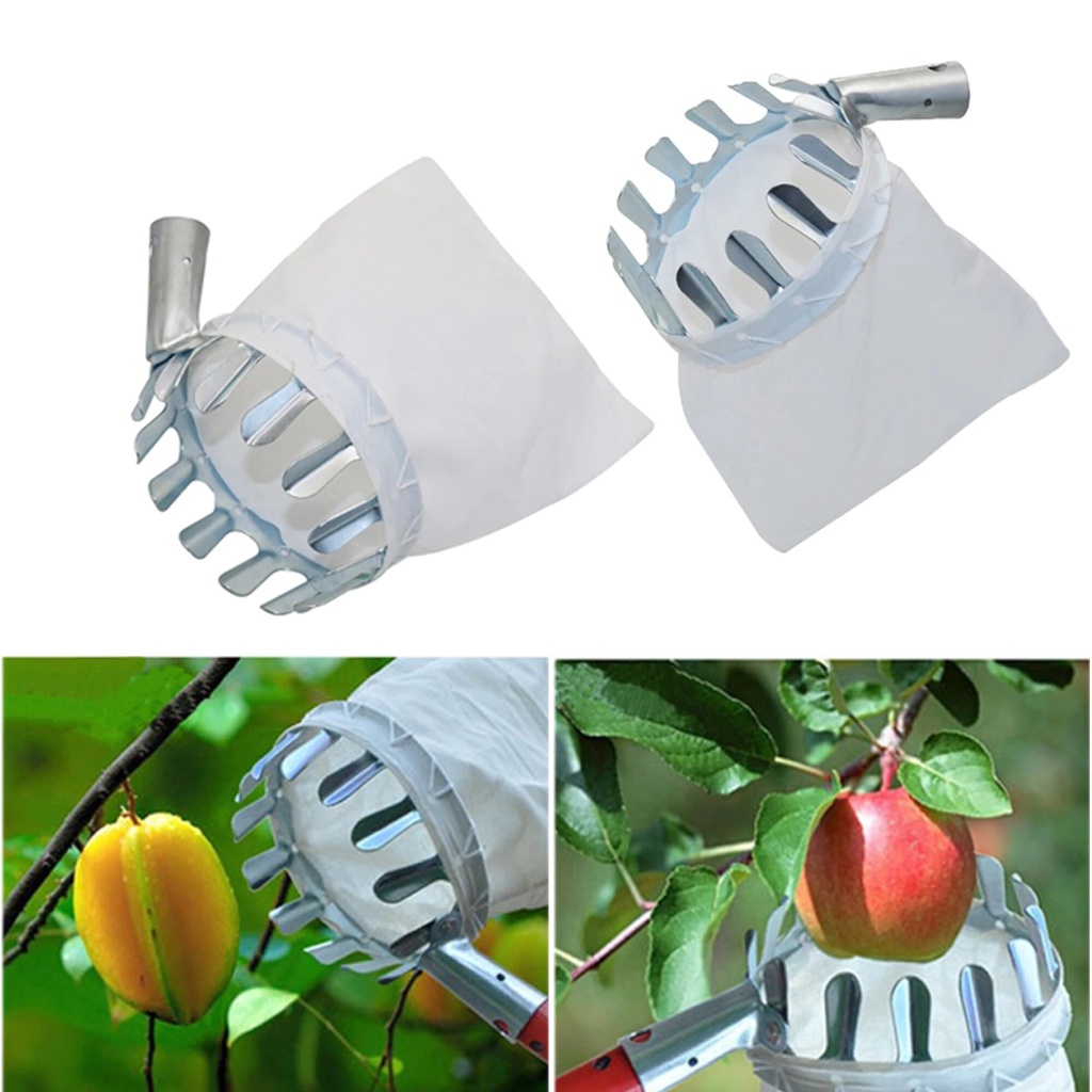 Garden Fruit Picker Head Orchard Apple Pears Orange High Tree Picking ...