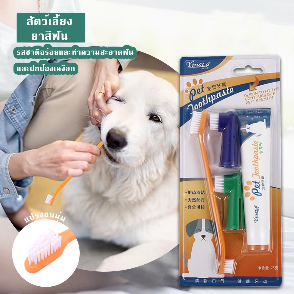 🐕【ยาสีฟัน 75 กรัม】 ชุดแปรงสีฟันสำหรับสัตว์เลี้ยง ชุดยาสีฟันสุนัขและแมว ...