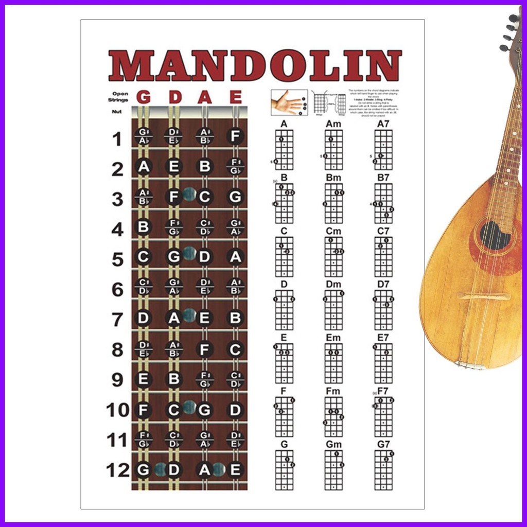 Mandolin Reference โปสเตอร์ Mandolin การเรียนรู้เครื่องมือ Fret Board ...