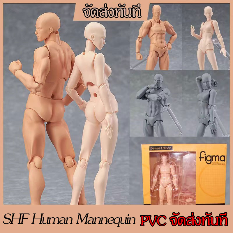 จัดส่งทันที SHF Human Mannequin ฟิกเกอร์ หุ่นโมเดล ชาย หญิง หุ่นฟิกเกอร ...