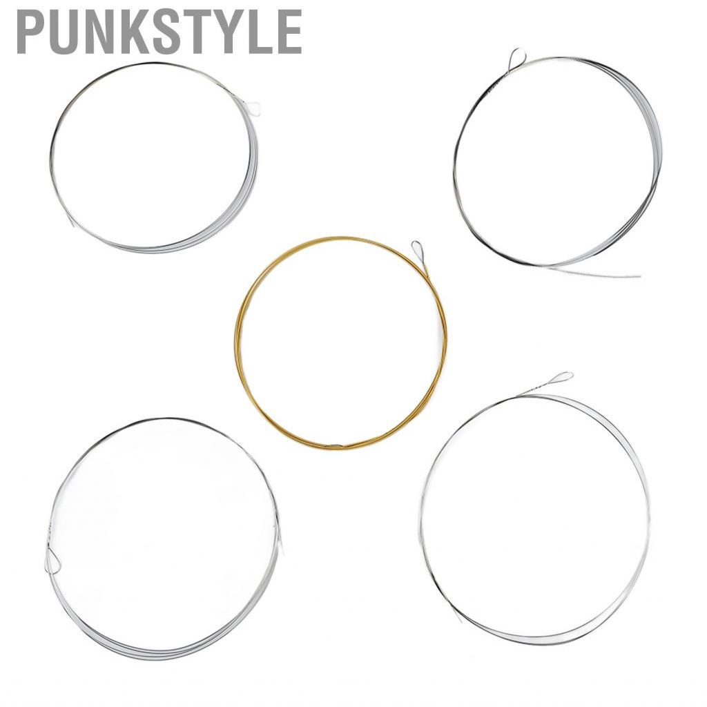 Punkstyle 5 Banjo String Kit Full Resonance Stainless Steel Set Practical for Replacement ...