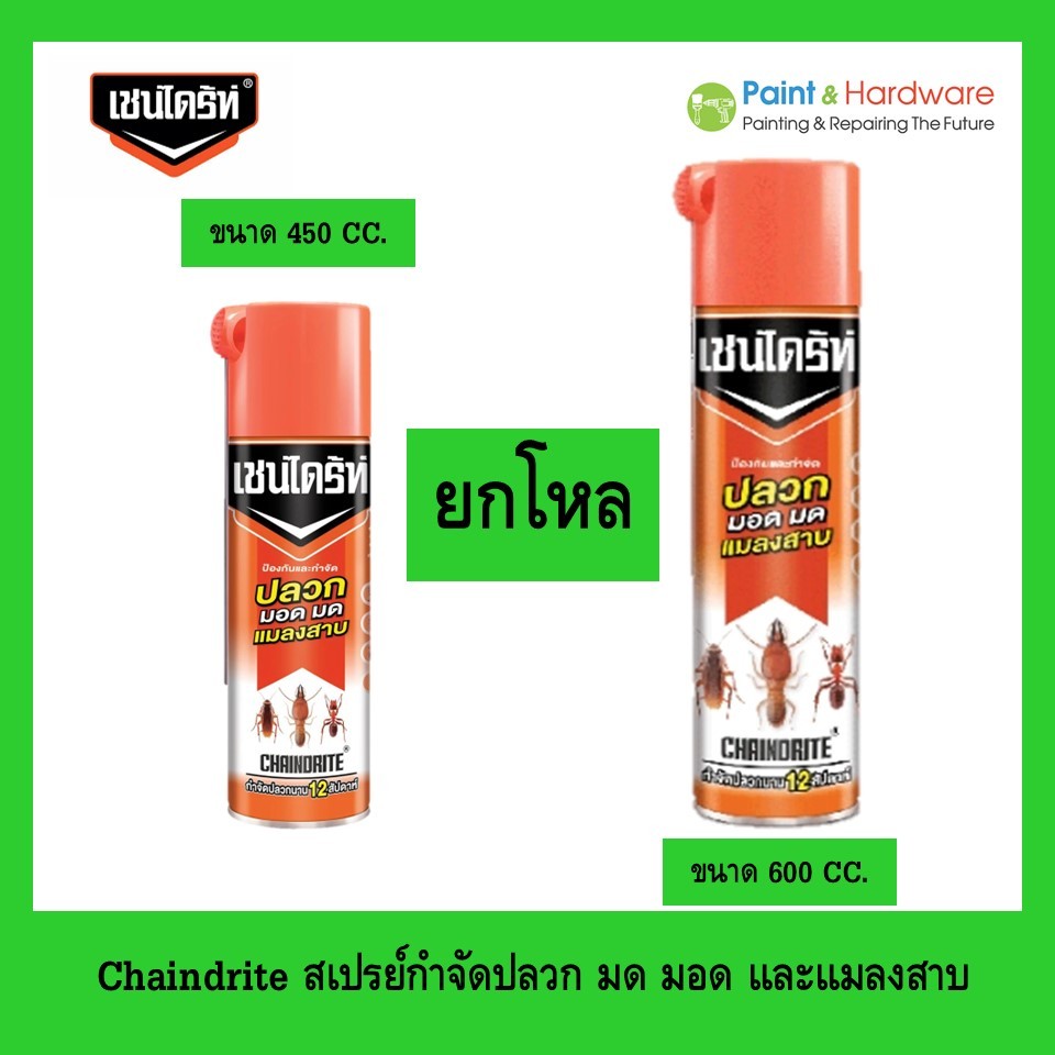 Chaindrite (ยกกล่อง 12 กป.) สเปรย์เชนไดร้ท์ สเปรย์ Chaindrite ยากำจัด ...