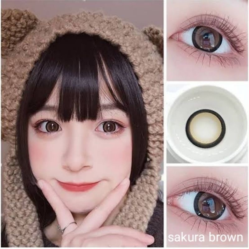 บิ๊กอาย คอนแทคเลนส์ รุ่น Sakura gray/ brown ฝาแดง ยี่ห้อ Pitchy lens ...