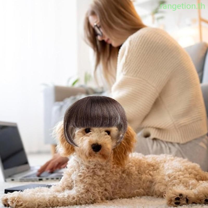 Ran Small Dog Party Dressingup Wigs Pet Festival Event Bob ตัดผมอุปกรณ์ ...