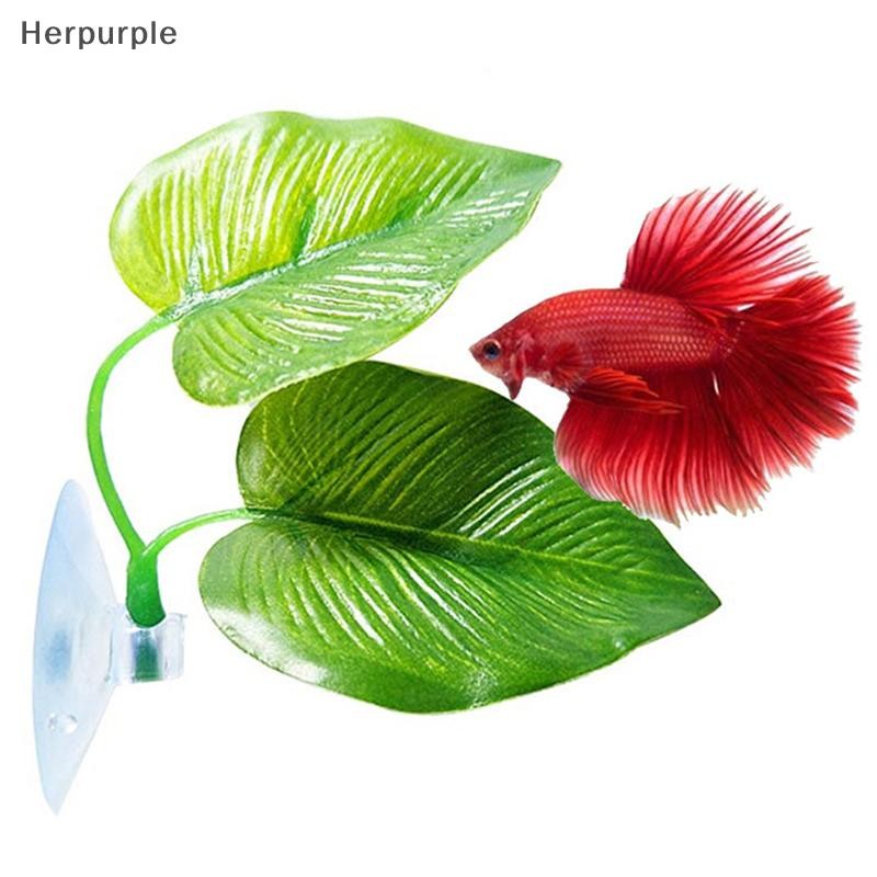Herpurple Betta Fish Rest Aquarium Leaf พืชตกแต่ง Spaw ไม้ประดับ Betta ...