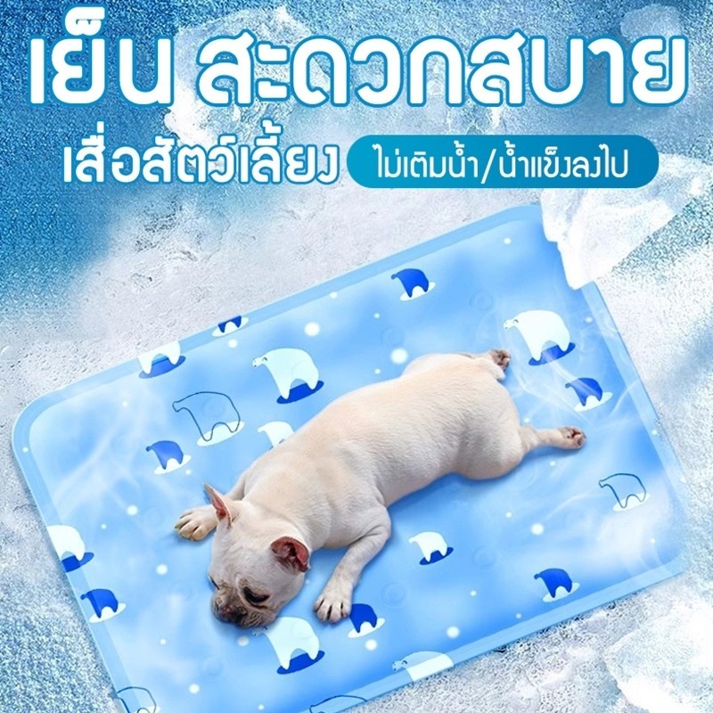 Winky Wink Pet Cool mat ที่นอนเจลเย็น แผ่นเจลเย็นสุนัข ที่นอนสัตว์ ...