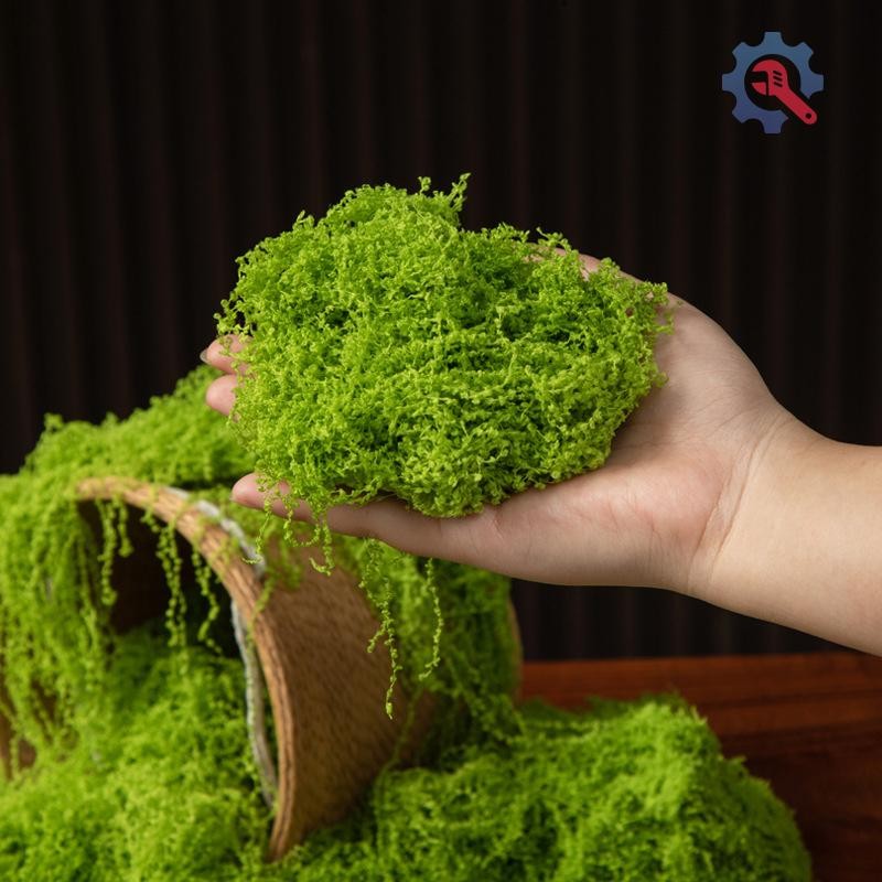 [GEX] 100g มอสปลอม DIY หัตถกรรมประดิษฐ์ Moss Faux พืชสีเขียว Home Room ตกแต่งสวน Mini ภูมิทัศน์ ...