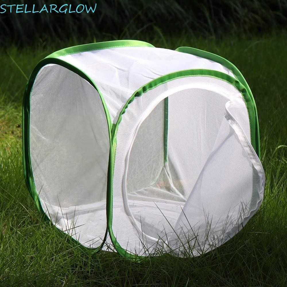 Stellarg กรงแมลง Cocoon Silkworm Hatch พับพับ Grasshopper Habitat ...