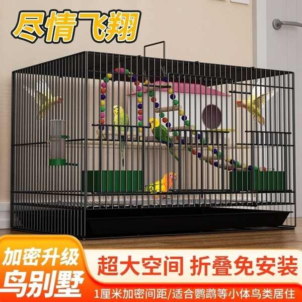 กรงนกแก้ว กรงนกใช้ในครัวเรือนหนังเสือ Xuan Feng Peony Parrot Bird Cage ...