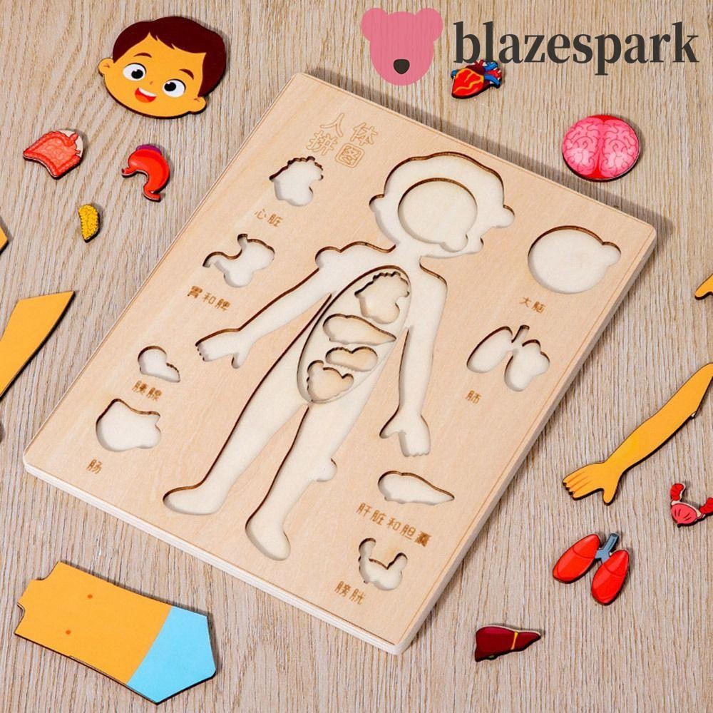 Blazespark ปริศนาร่างกายมนุษย์ไม้, ปริศนาโครงสร้างร่างกายชายหญิงหลายชั้น, กิจกรรม Busy Board แผง ...