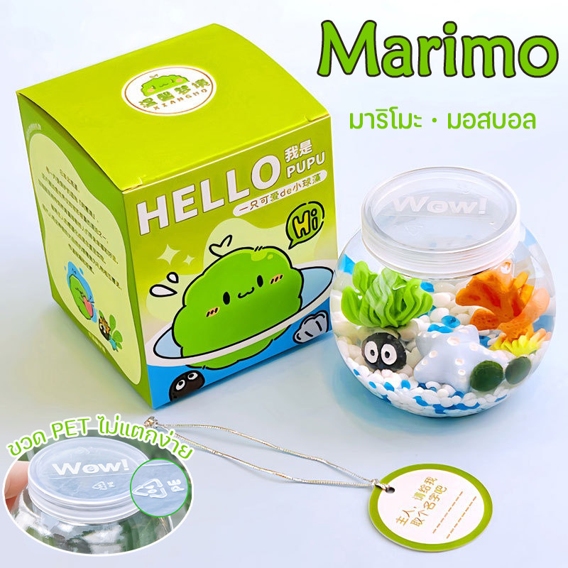 COD☘️ Marimo ชุดพร้อมเลี้ยงมาริโมะ PETขวด เหมาะสำหรับให้เป็นของขวัญสำหรับคนที่รัก มาริโมะ มอสบอล ...