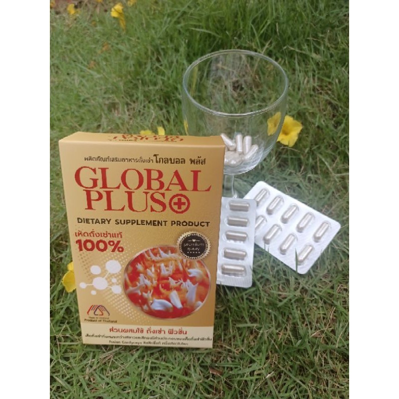 โกลบอลพลัส Global Plus Cordy ถั่งเช่าแท้ 100% ช่วยลดระดับน้ำตาลในเลือด ฟื้นฟูร่างกายให้สมดุล ...