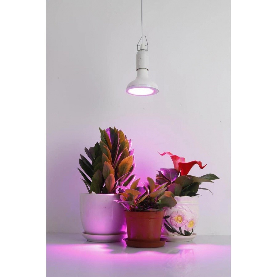 GlobalHouse EILON หลอดไฟปลูกต้นไม้ LED 12W ขั้ว E27 รุ่น P30-ZW01 สินค้าของแท้คุณภาพดี | Shopee ...