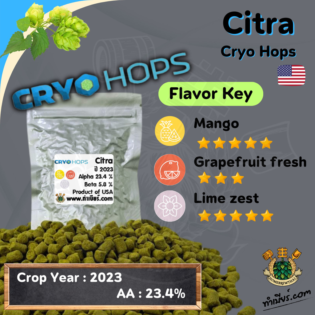 Citra Cryo Hops Pellet (ฮอปส์) | Shopee Thailand