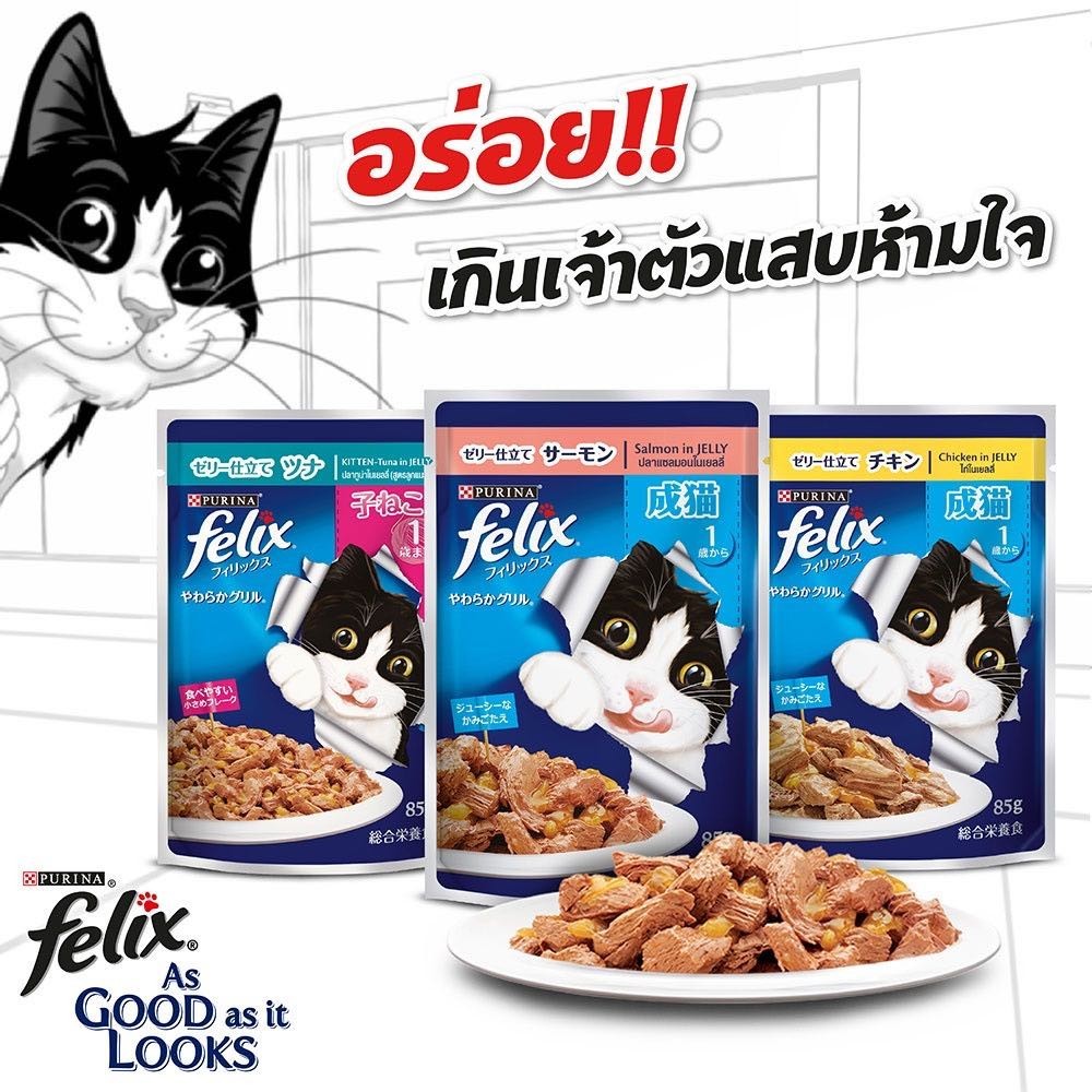 (1โหล) Felix pouch อาหารเปียกขนาด 85gx12ซอง เฟลิกซ์ | Shopee Thailand