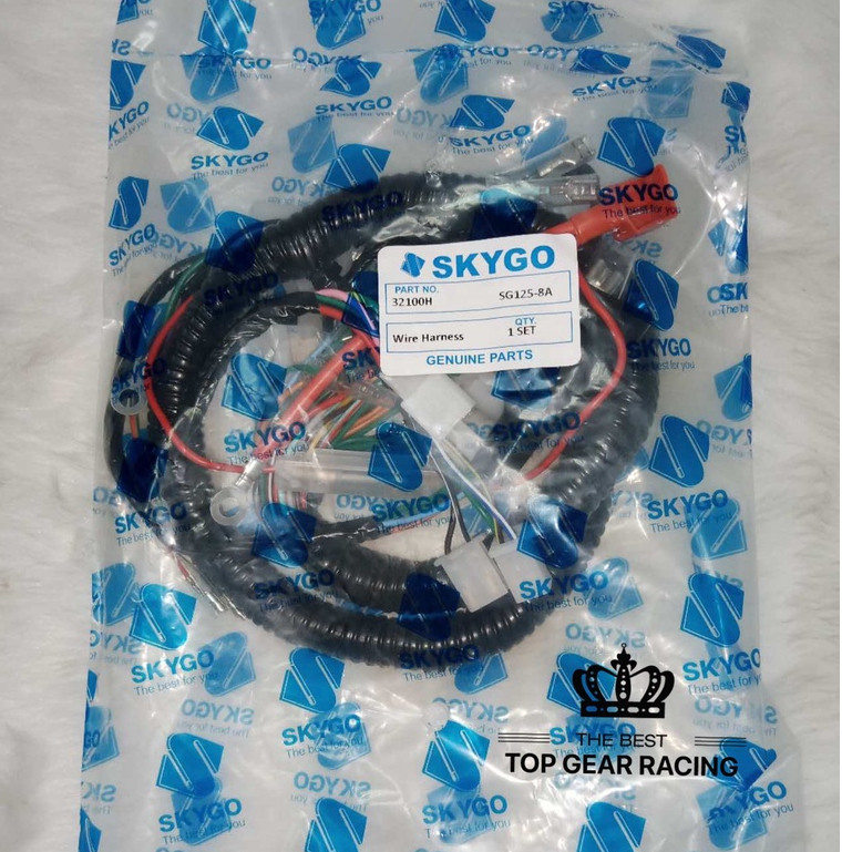 สายไฟ SG 125 Euro SG150 SG WIZARD PRINCE PINOY 155 Harness Wire ...
