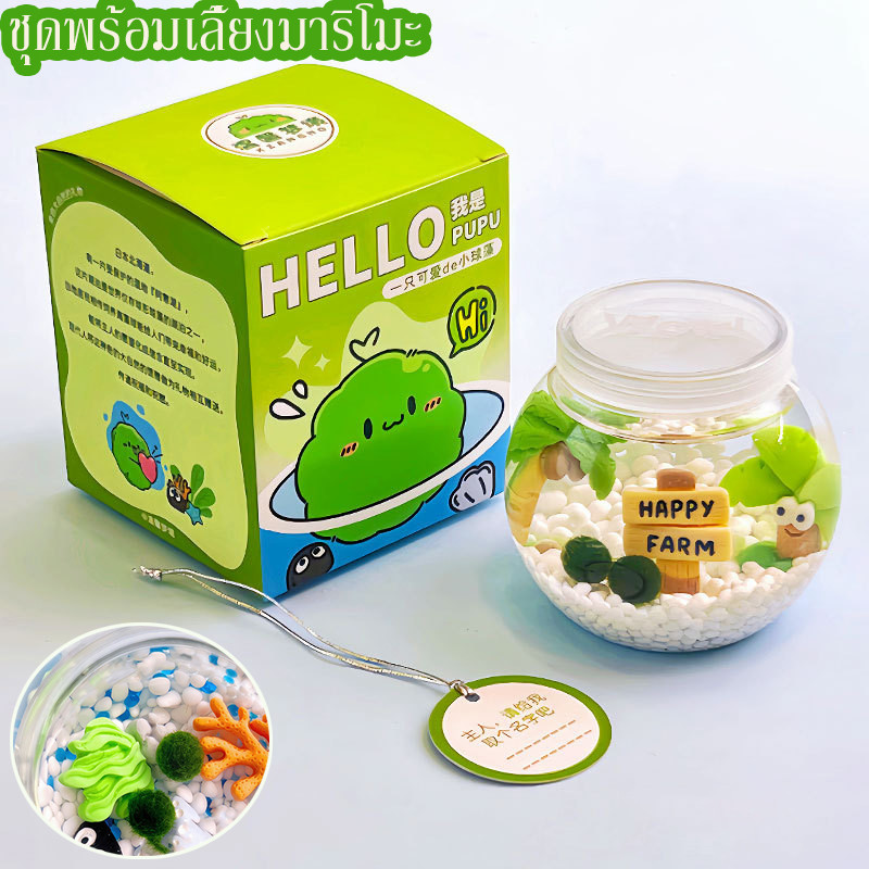 COD มาริโมะ เซ็ทพร้อมขวดแก้ว Marimo ของแท้ | Shopee Thailand