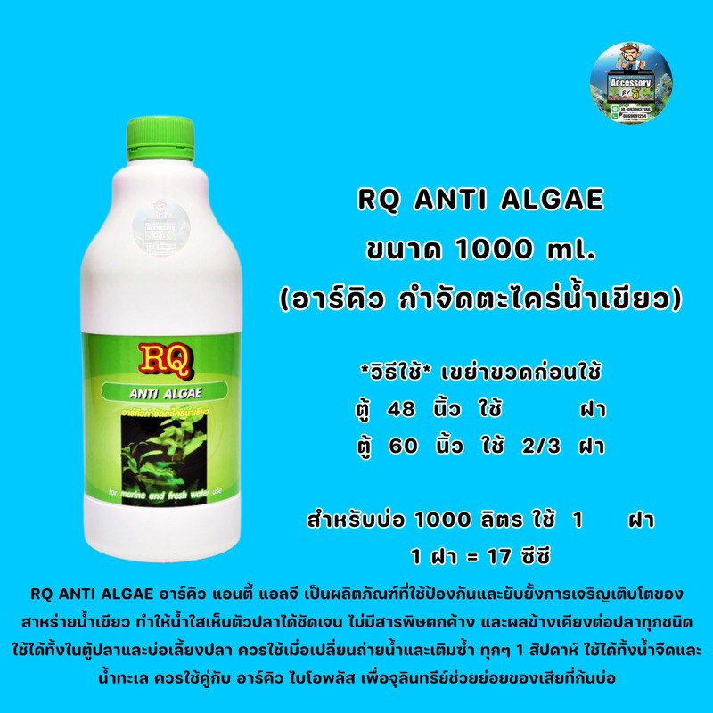 RQ ANTI ALGAE ขนาด 1000 ml. (อาร์คิว กำจัดตะไคร่น้ำเขียว) | Shopee Thailand