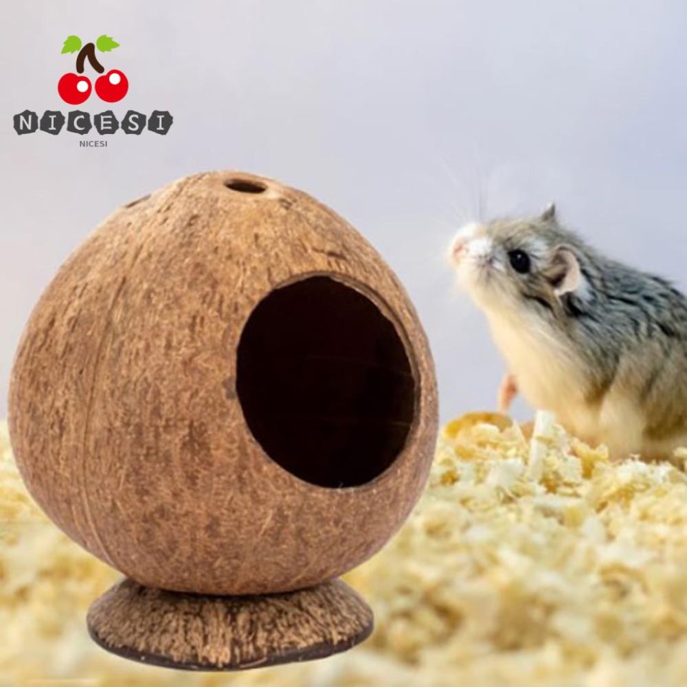 Nicesi เปลือกมะพร้าวธรรมชาติที่ทนต่อการกัด, บ้านหนูแฮมสเตอร์มะพร้าวที่ ...
