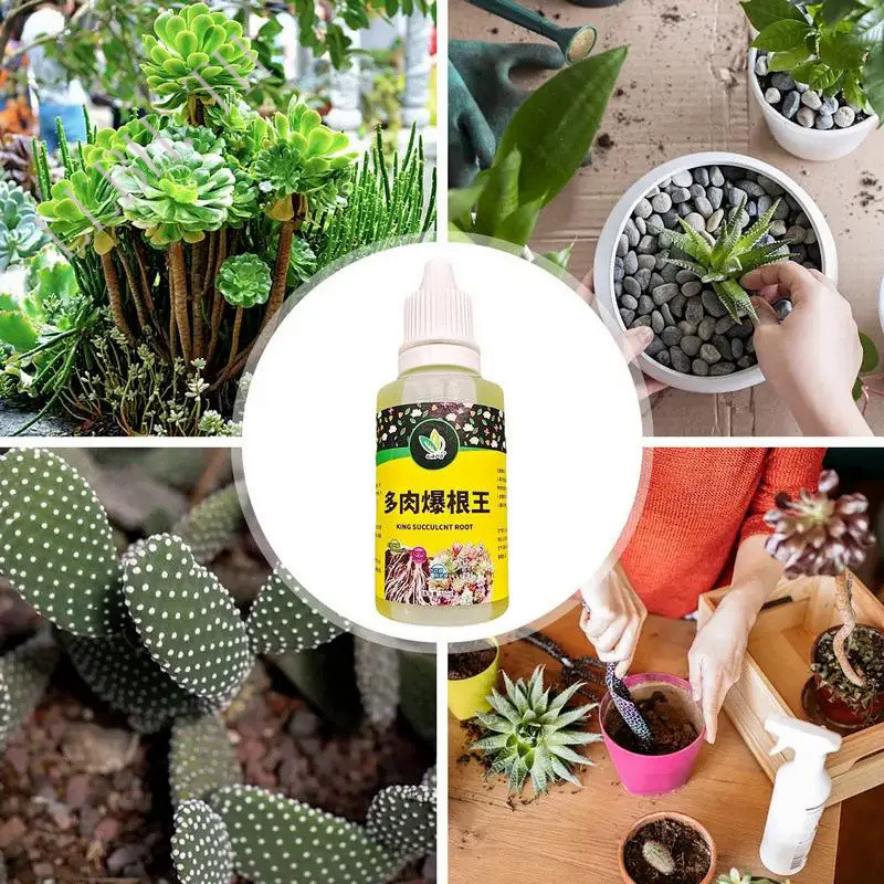 50ml Liquid Plants Rooting Stimulator High-Performing root Growth ...