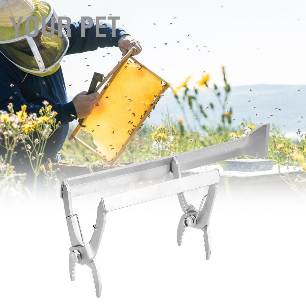 Your Pet สแตนเลส Bee กรอบคลิป CLAMP พร้อม Scraper Beehive อุปกรณ์การ ...