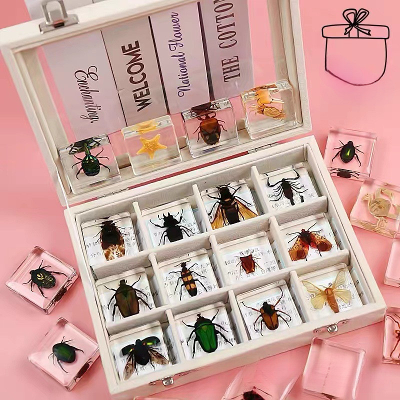 Small Animal Insect Specimen Resin Marine Animal Amber Specimen ...