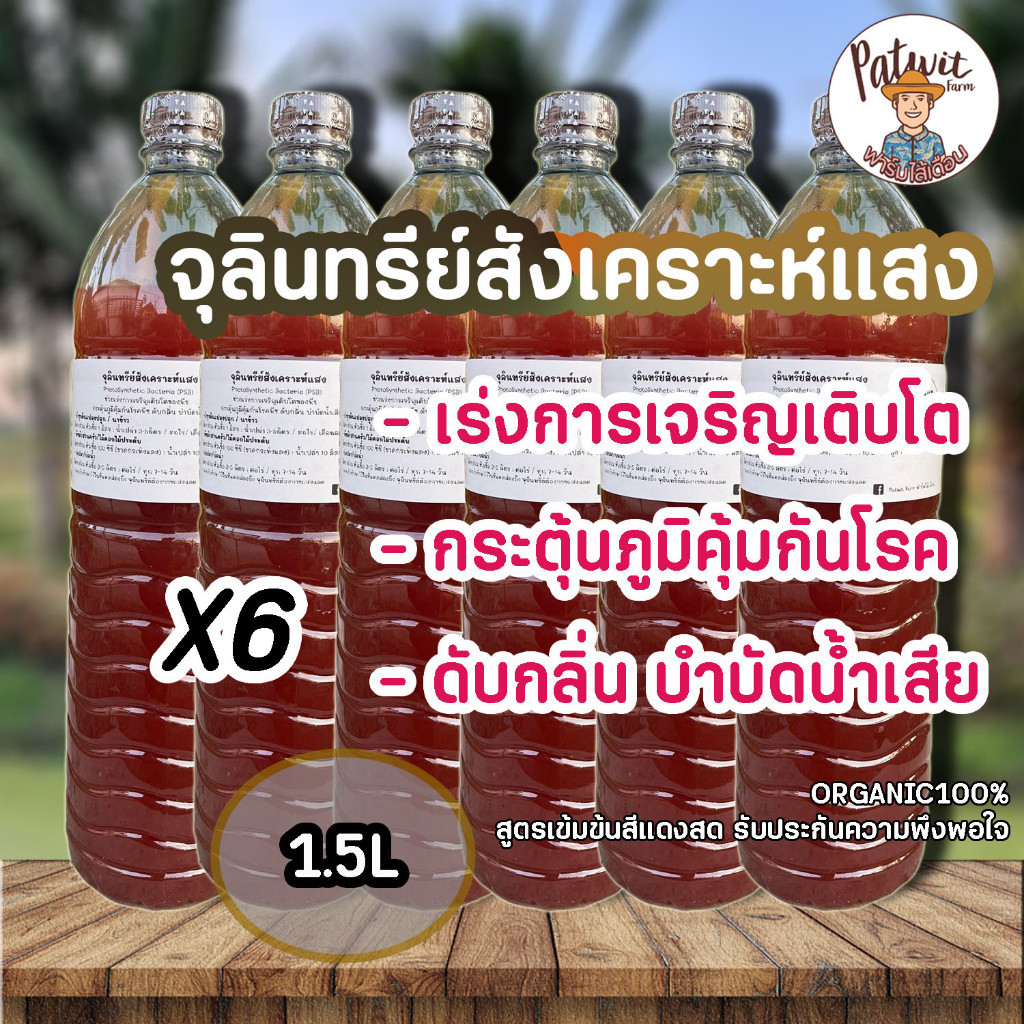 ส่งฟรี!!! ส่งจุลินทรีย์สังเคราะห์แสง PSB ขนาด1.5L ชุด6ขวด | Shopee Thailand