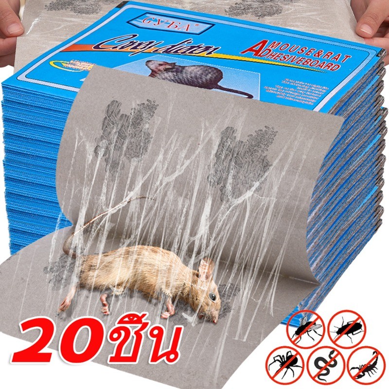 5/10/20 ชิ้น Super Strong Mouse Rat Trap กาวบอร์ด - แผ่นดักแมลงในครัว ...