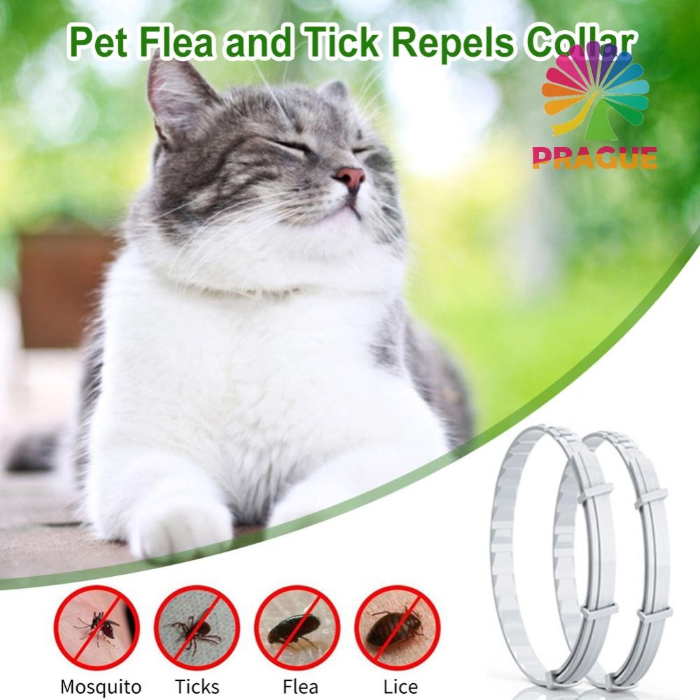 Anti-flea Collar 8 เดือนป้องกันหมัด Tick Collar สําหรับ Puppy Cat Big ...