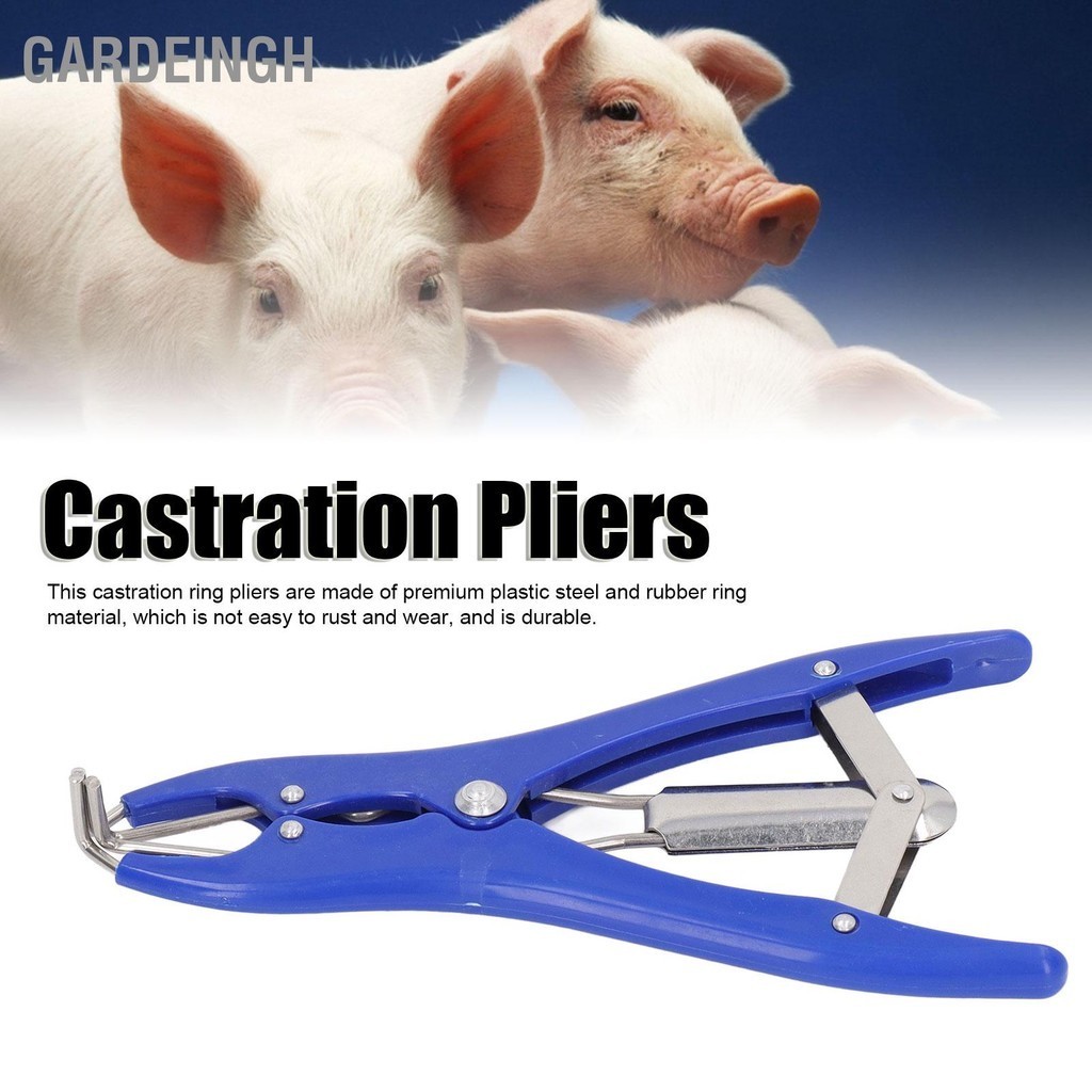 GardeingH Castration Plier 100pcs สีแดง Castrator แหวนยางหาง Docking CLAMP แหวน Applicator Kit ...