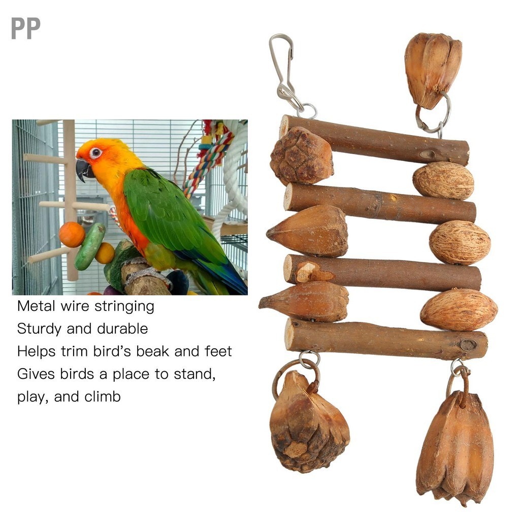 PP BIRD Chew ของเล่นธรรมชาติ Logs ถั่วมือ Parrot CAGE กัดของเล่นสำหรับ ...