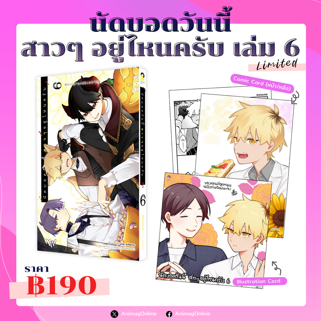 Animag นัดบอดวันนี้ สาว ๆ อยู่ไหนครับ COMIC เล่ม 6 Limited | Shopee Thailand
