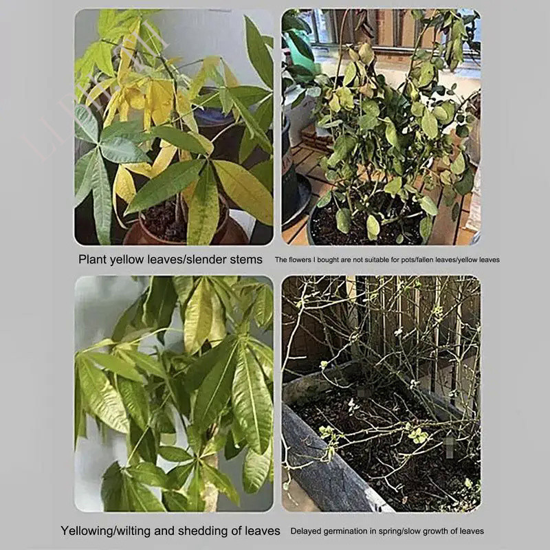 50ml Root Stimulator For Plants Plant Growth Enhancer Supplement ...