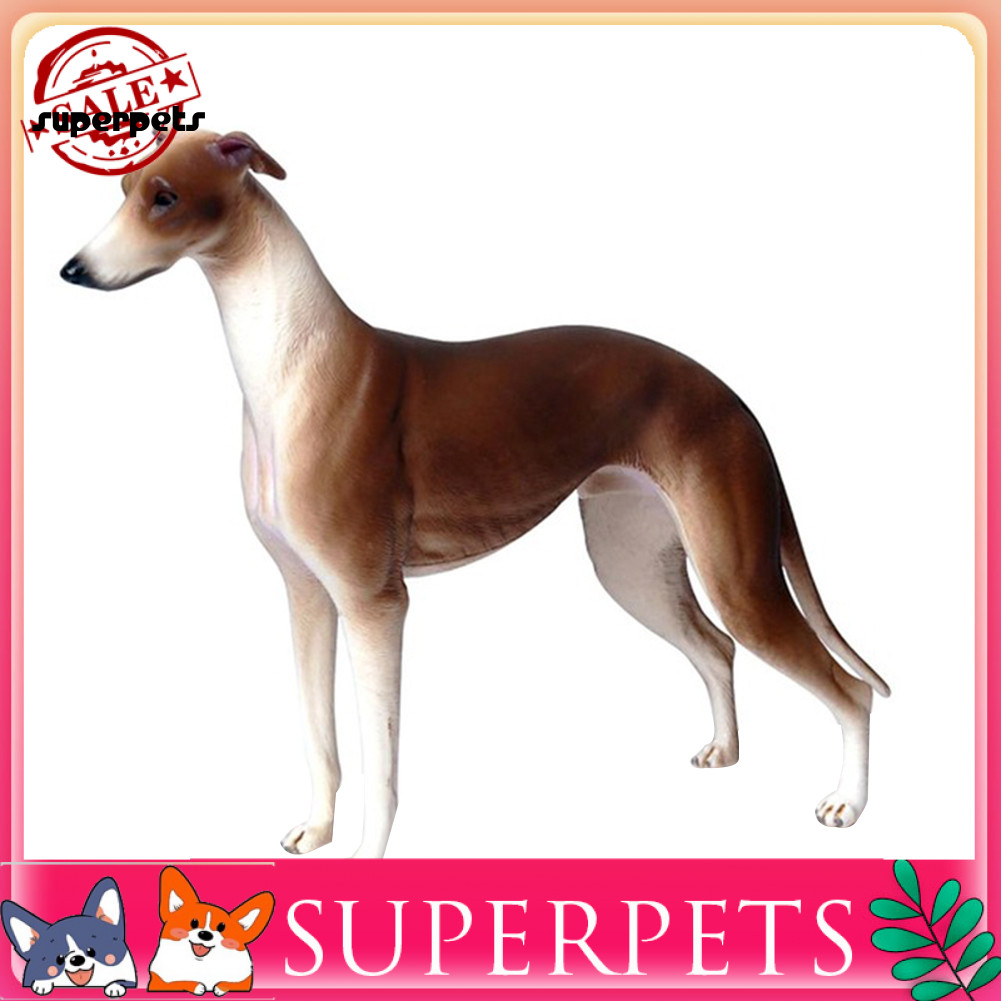 โมเดลฟิกเกอร์ PVC รูปสัตว์ Greyhound ขนาด 20 ซม. ของเล่นสําหรับเด็ก ...