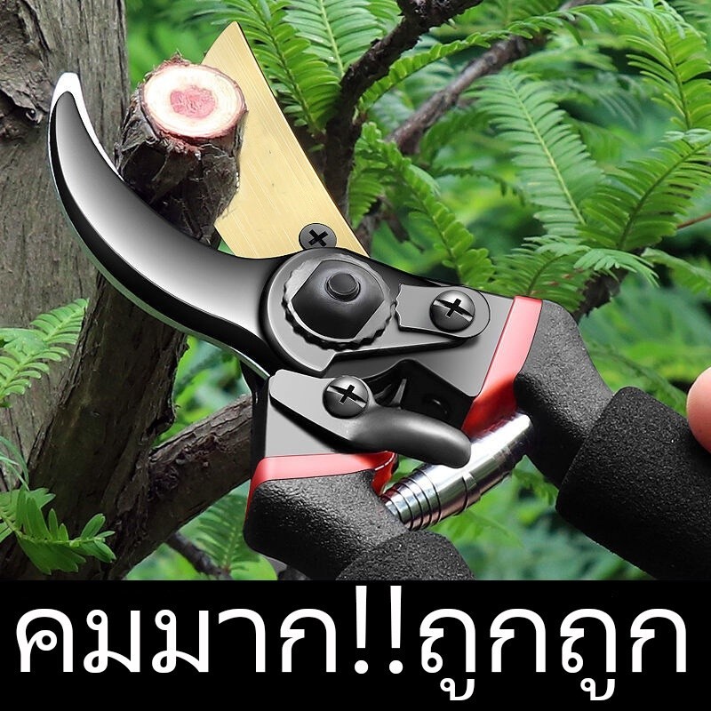 426TOOL กรรไกรตัดแต่งกิ่ง SK5 ด้ามกันลื่น ขนาด 8.5 นิ้ว อุปกรณ์ทำสวน ลดแรงกด น้ำหนักเบา | Shopee ...
