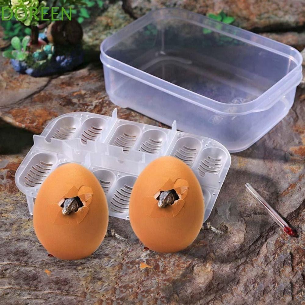 Doreen Egg Hatcher Box โปร่งใส 12 กริด Professional พลาสติกทนทานสัตว์ ...