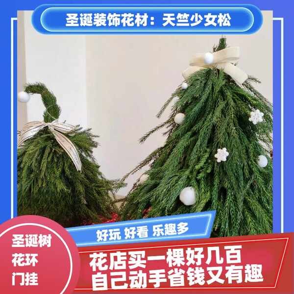 ornament christmas christmas decoration christmas wreath สด เทียนจู้ ...