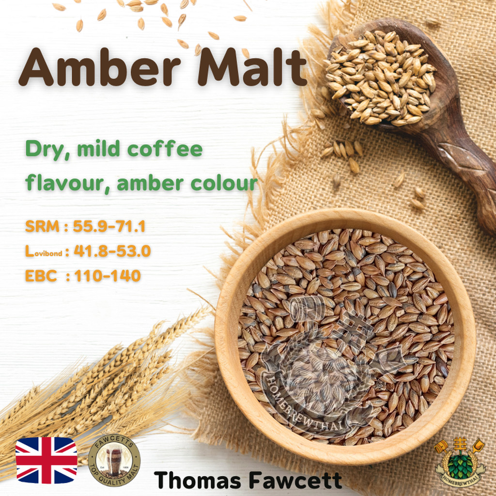 Amber Malt (Thomas Fawcett) | Shopee Thailand
