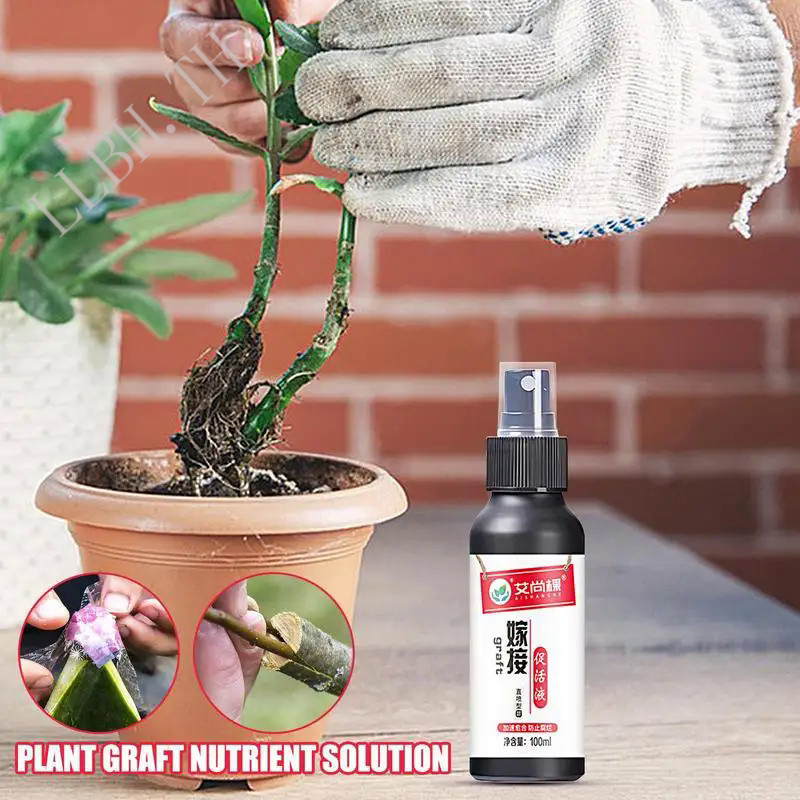 Plant Nutrients Rooting Solution 100ml Plant Food All Purpose ...
