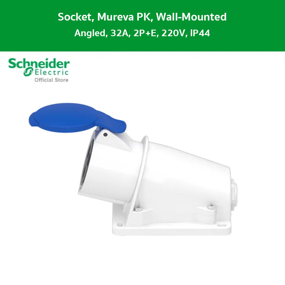 Schneider Socket, Mureva PK, wall-mounted, angled, 32A, 2P+E, 220V ...