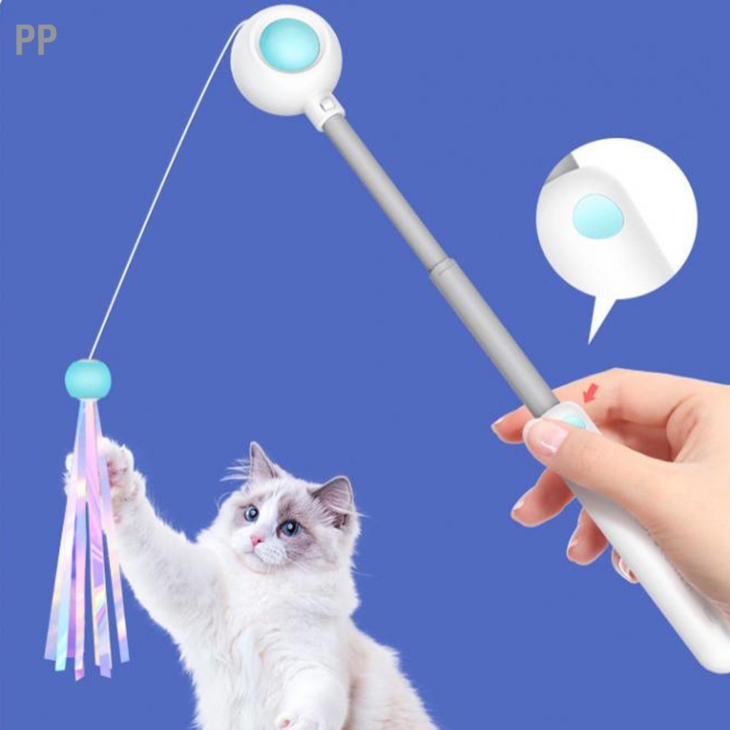 PP Retractable Cat Wand ดึงดูดความสนใจ Teaser ของเล่น Interactive ของ ...